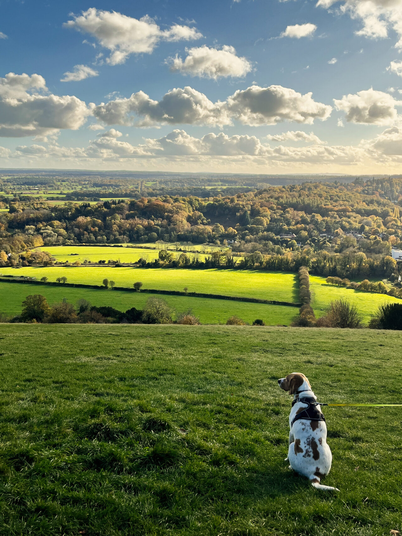 About Us | Clarkstone Pet Lodge